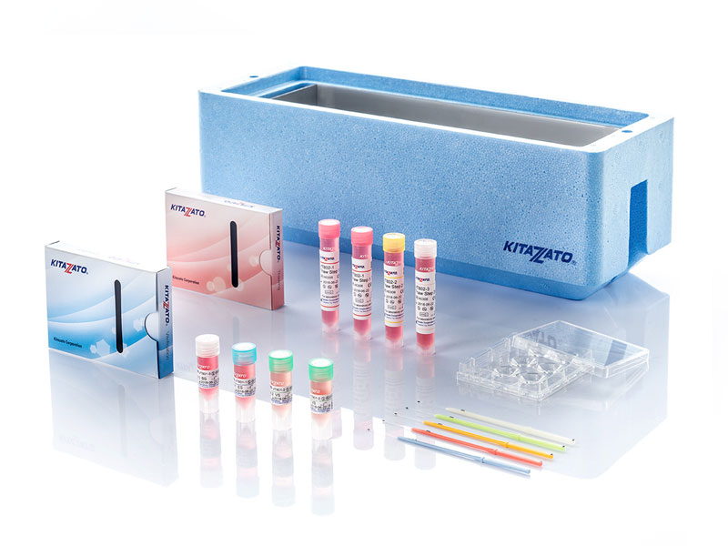 Vitrification - Kitazato IVF